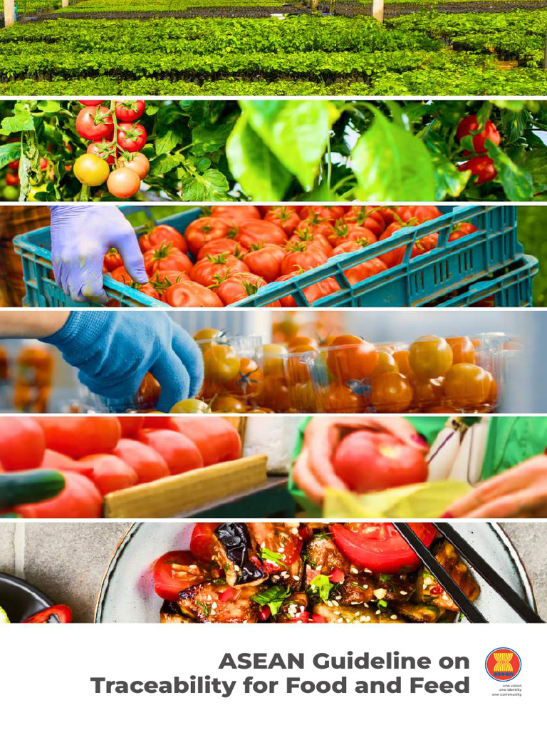 ASEAN Food and Feed Traceability Guide | PDF | Safety | Food Safety
