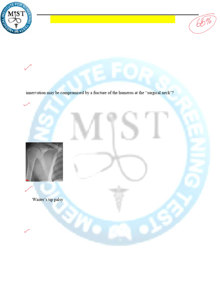 Anatomy Test Paper for Medical Screening | PDF | Common Carotid Artery ...