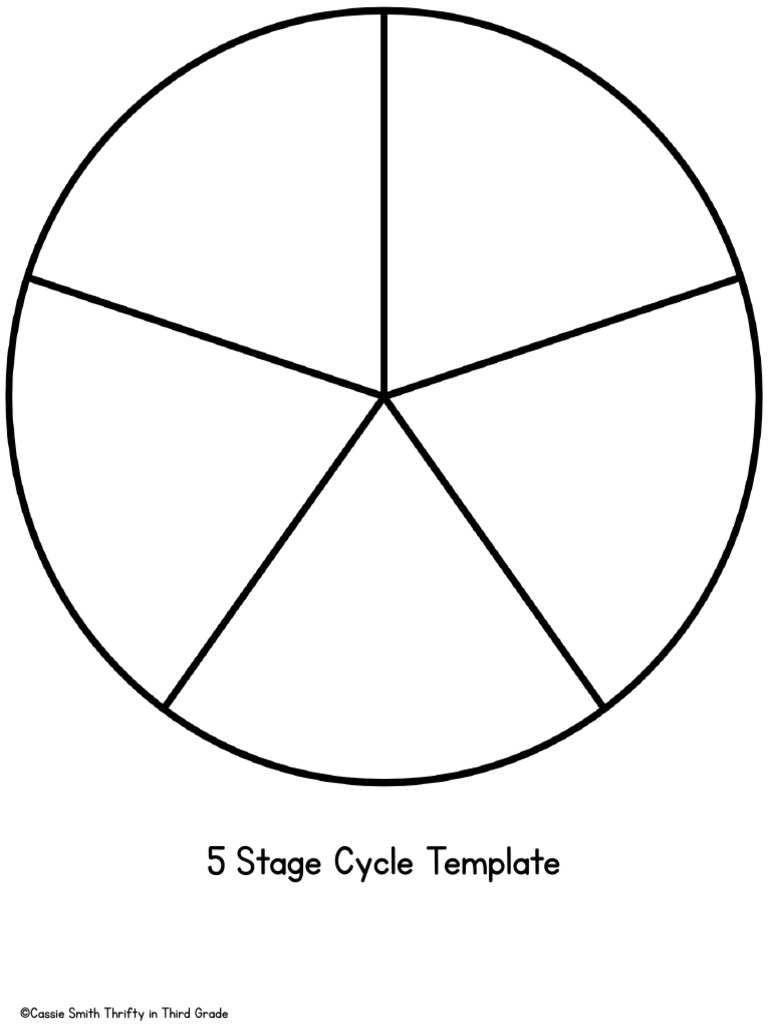 Cycle 8 Sets of 15 Copies | PDF