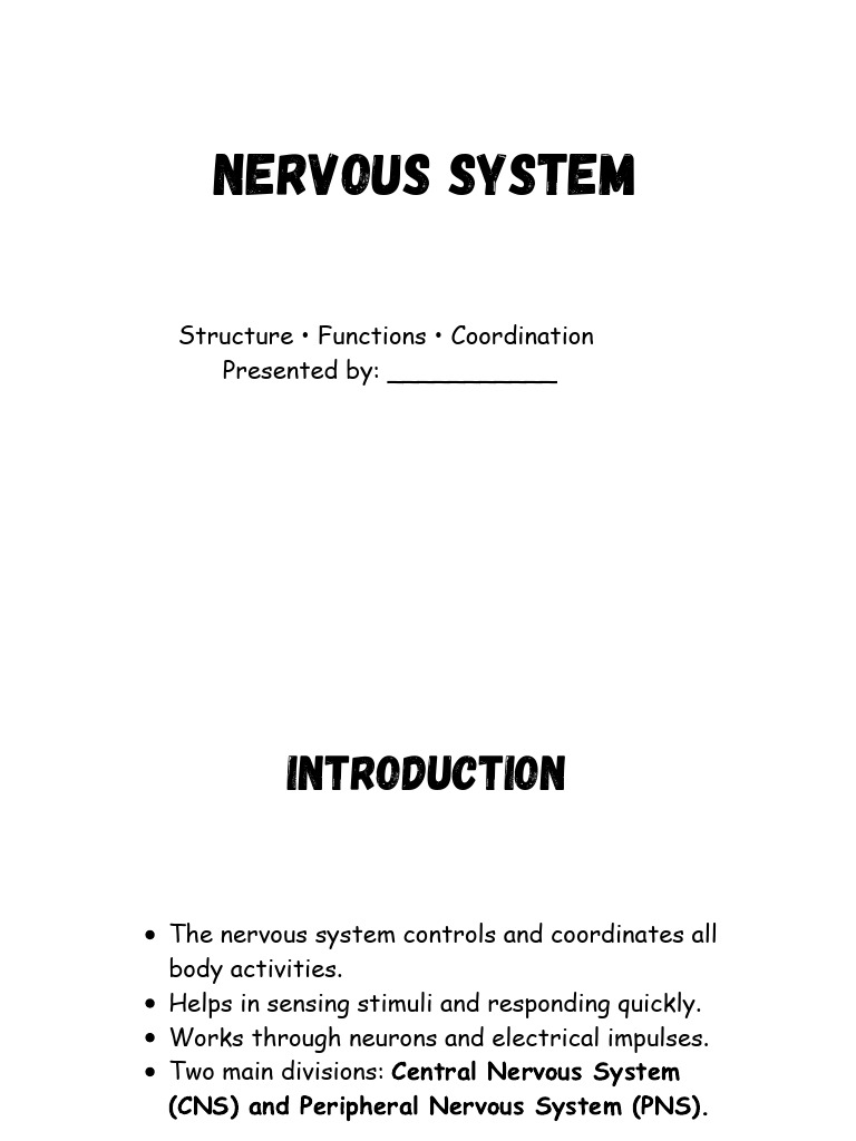 Overview of the Nervous System Functions | PDF