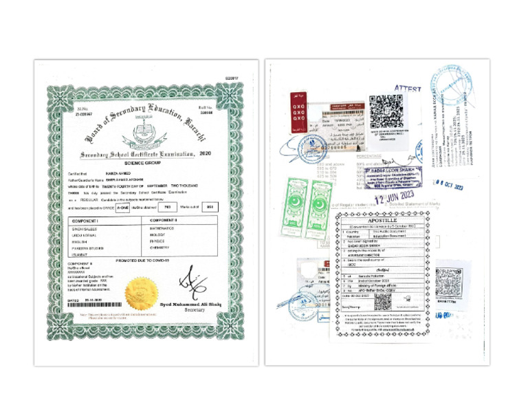 Matric Certificate | PDF