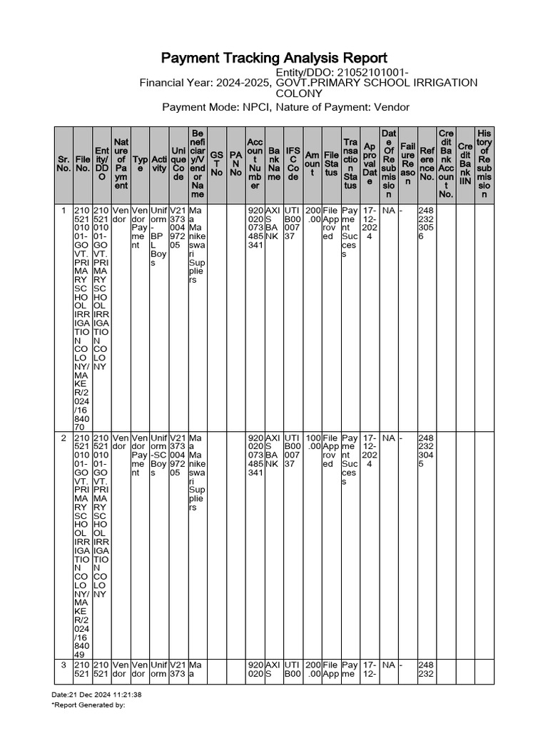 Payment Tracking Analysis Report | PDF