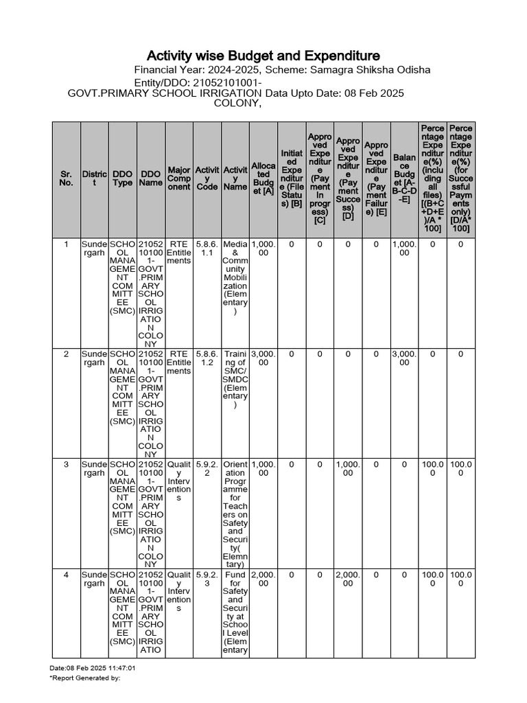 Activity Wise Budget and Expenditure | PDF