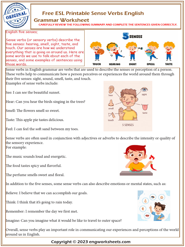 Saying and Senses Verbs | PDF | Senses | Perception