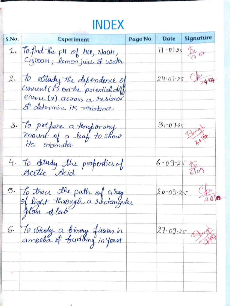 Class 10 Lab Manual Work of Science | PDF