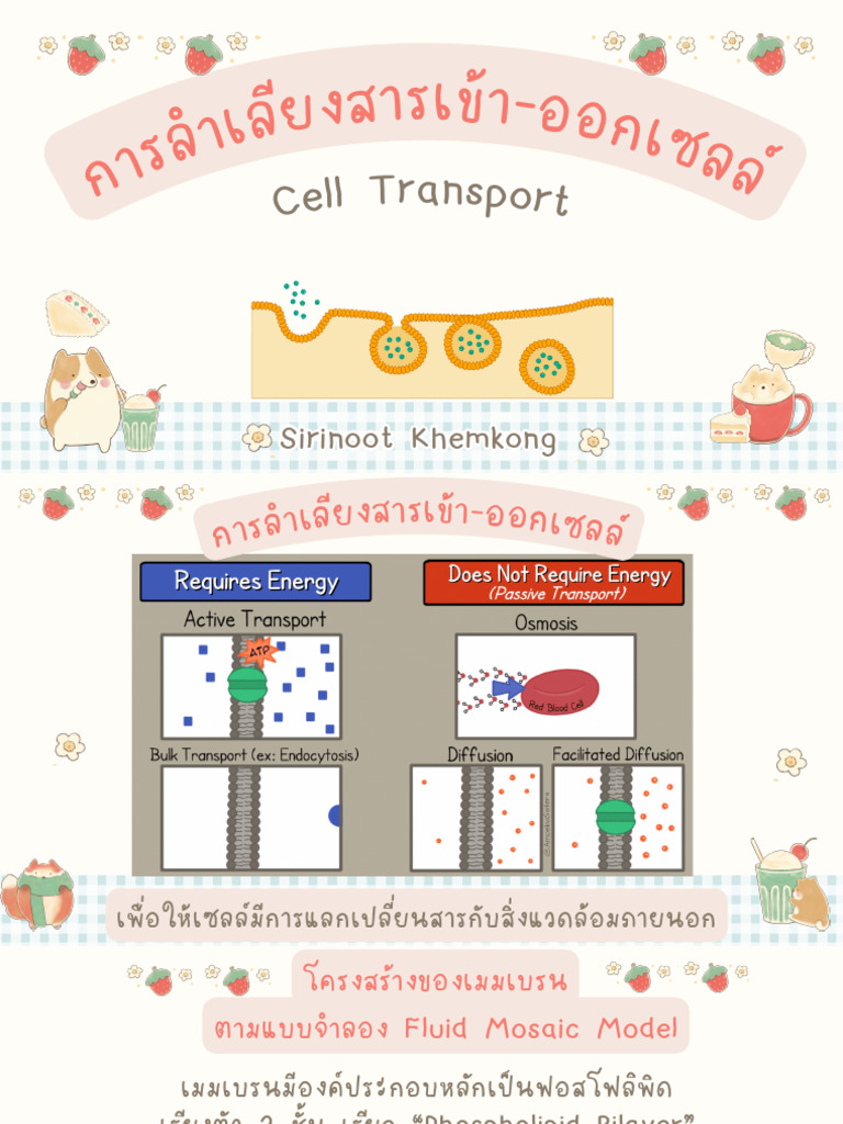 Cell Transport | PDF