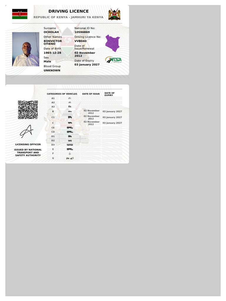 DLR 7AVU787BM Electronic Driving License | PDF