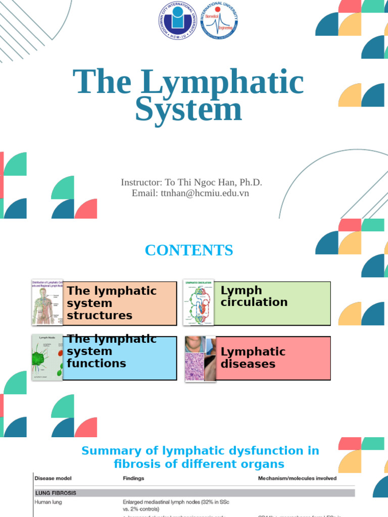 9 Lymphatic | PDF | Lymph | Lymphatic System