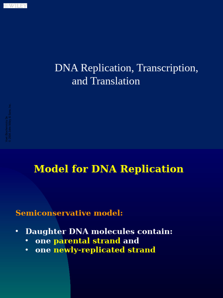 DNA and RNA Synthesis | PDF | Dna Replication | Genetic Code