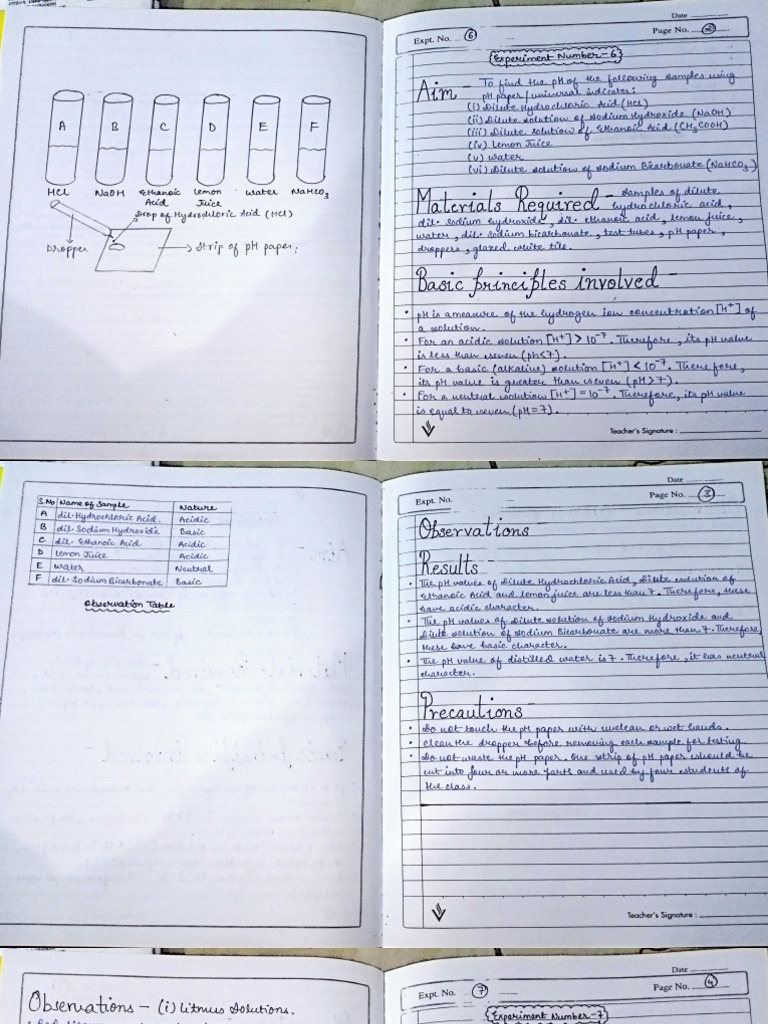 Science-X Practical File | PDF