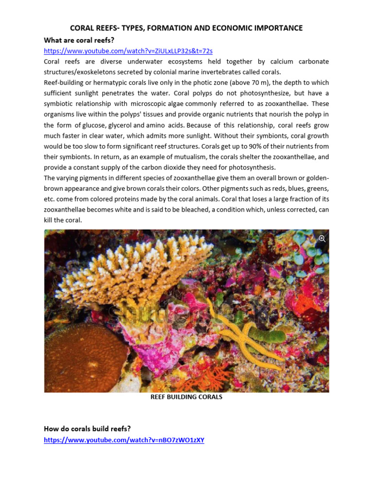 Coral Reefs | PDF | Coral Reef | Coral