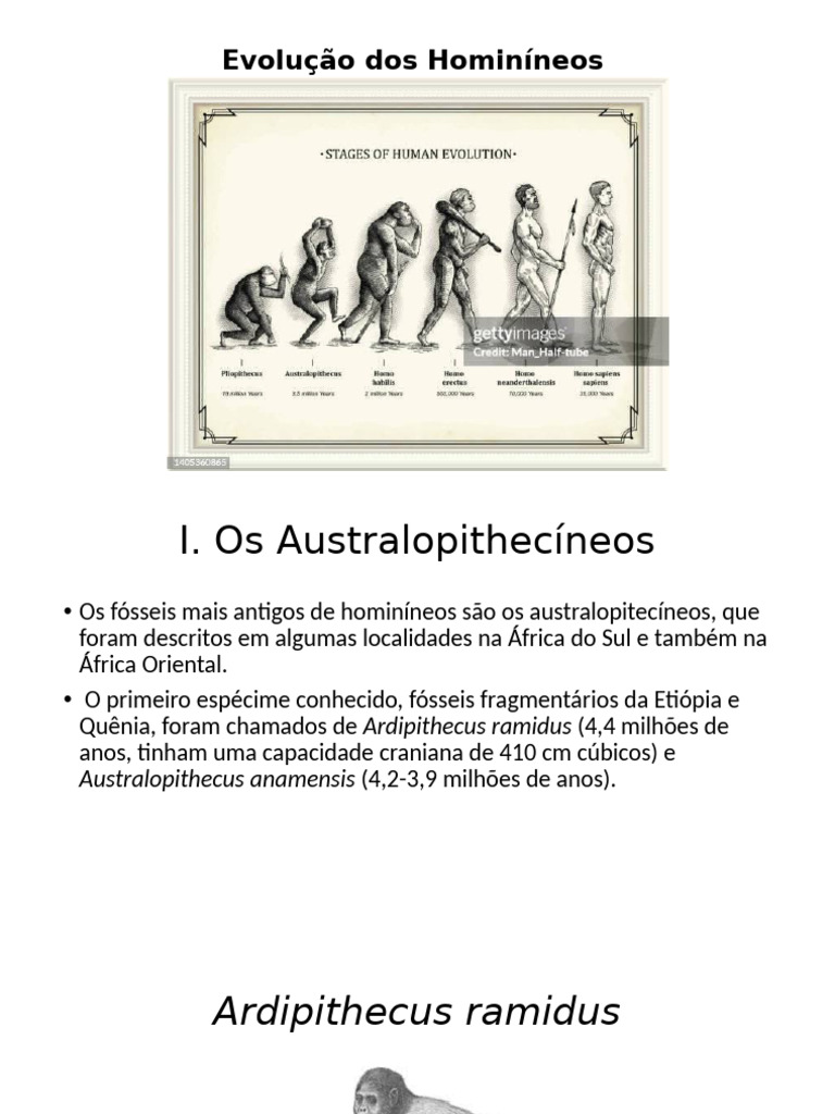 Evolucao Humana | PDF | Homo | Humano