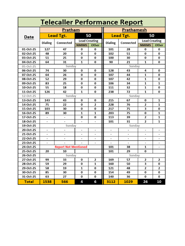 Telecaller Performance | PDF