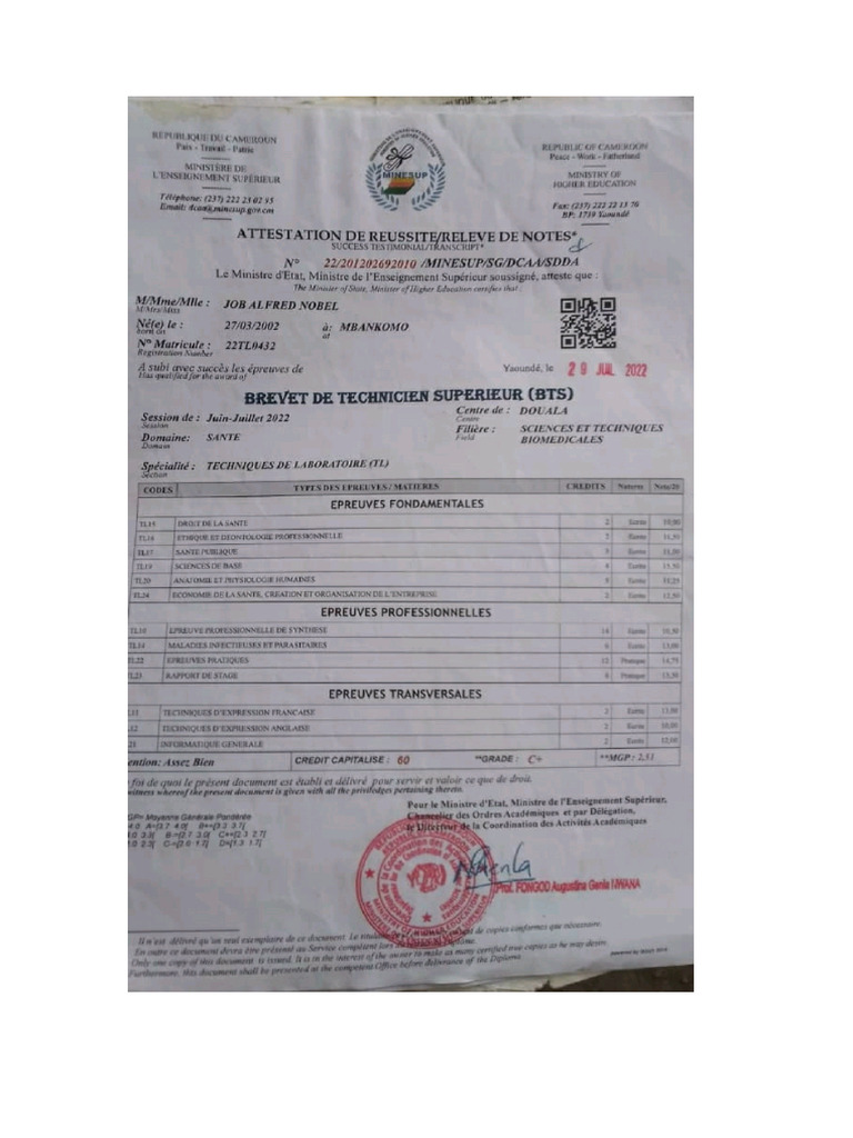 My Document | PDF