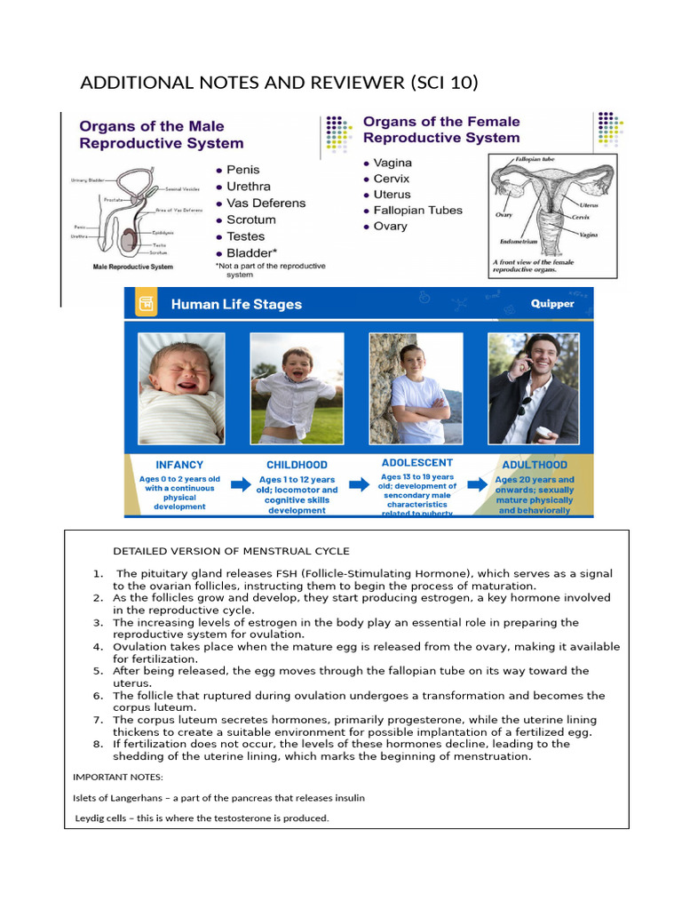 Additional Notes and Reviewer | PDF