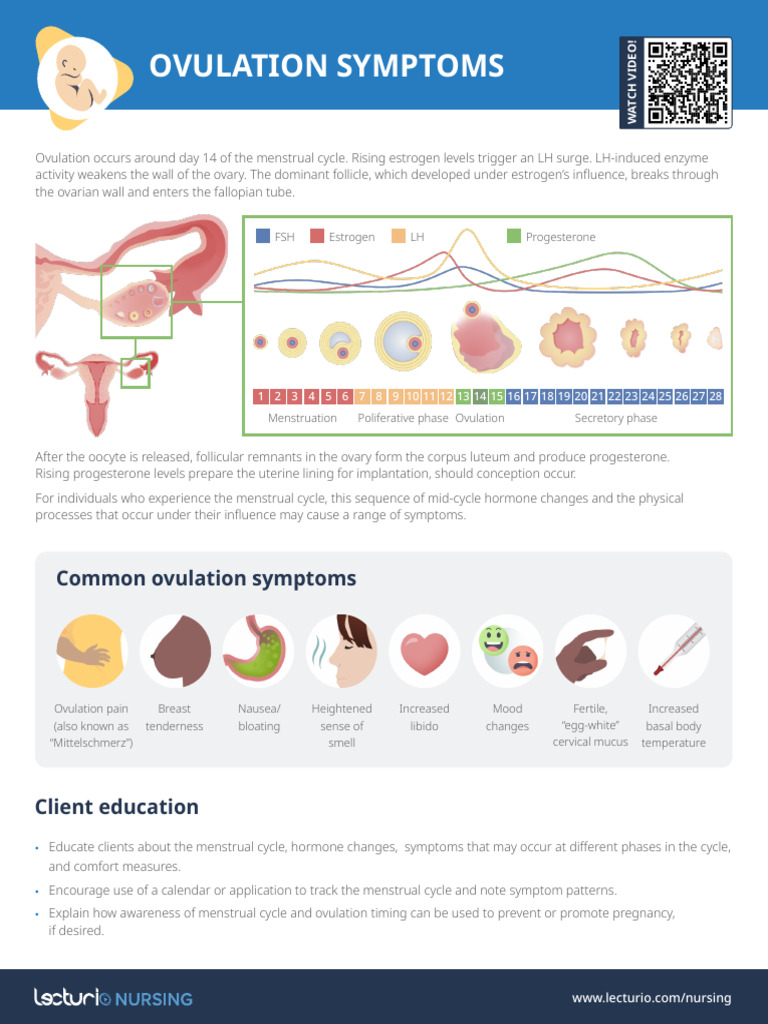 Ovulation Symptoms 02 | PDF