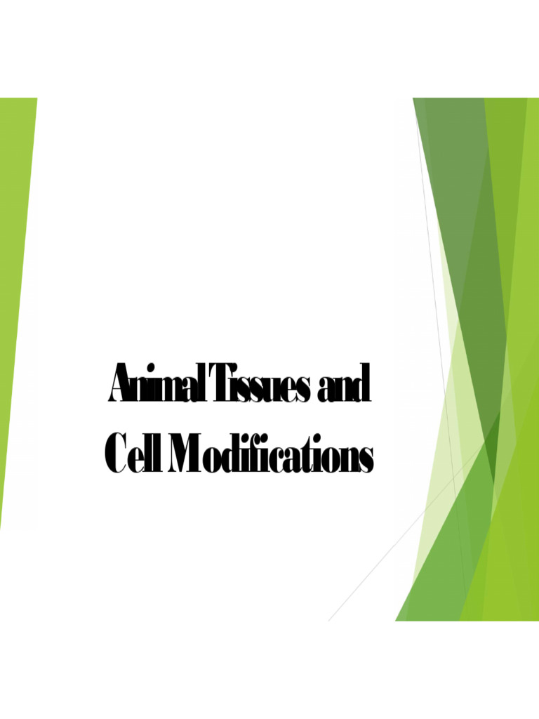 Plant-Animal Tissues and Cell Modifications | PDF | Epithelium ...
