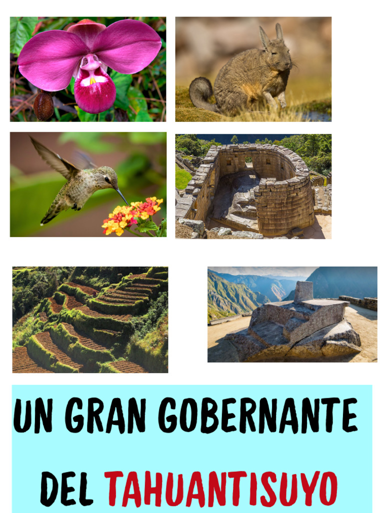 Exposición 1 Baja a (9) | PDF