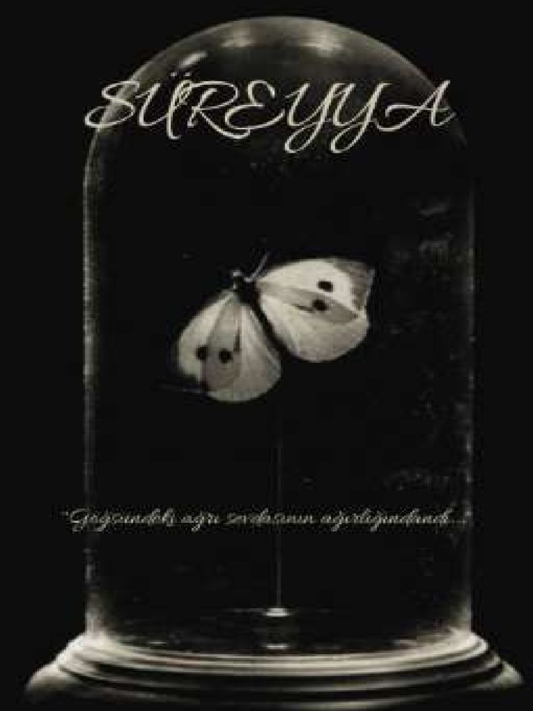 Sureyya 343323133 | PDF