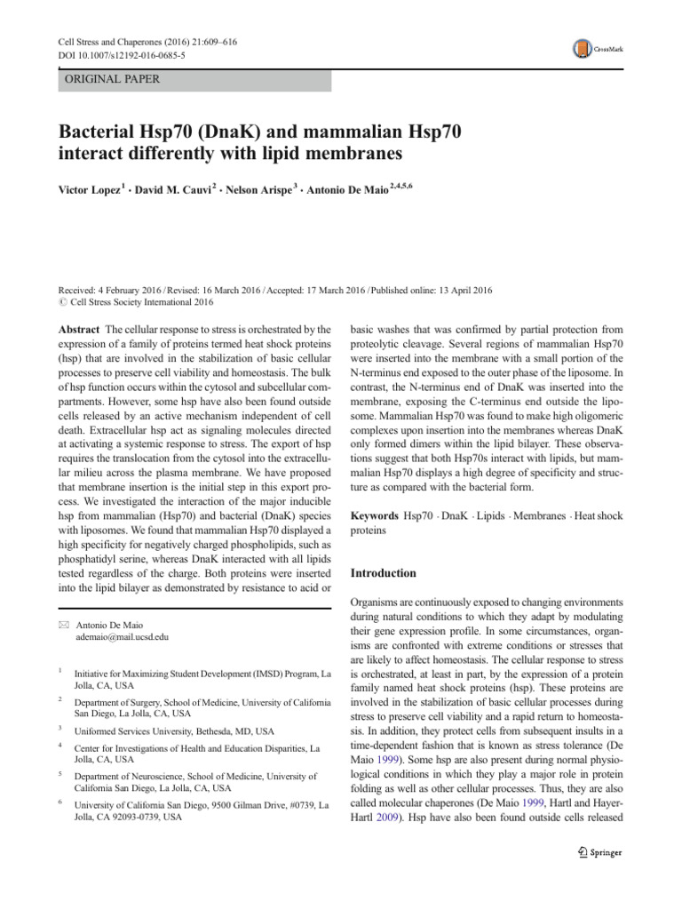 Bacterial Hsp70 (DnaK) and mammalian Hsp70 interact differently with ...