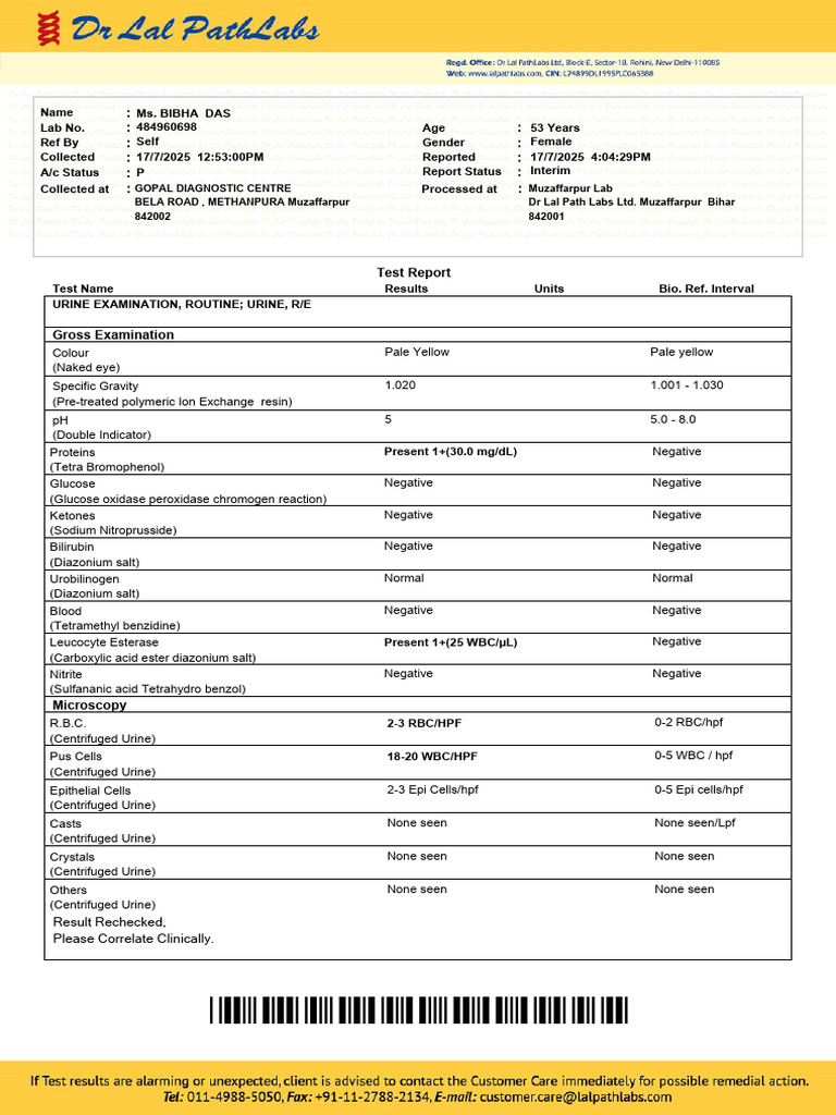 Urine Examination Report for Ms. Bibha Das | PDF | Red Blood Cell
