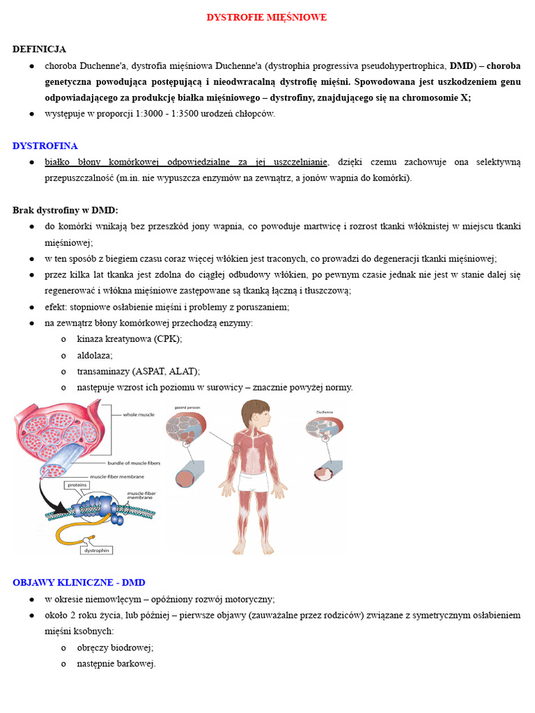 Dystrofie Mięśniowe | PDF