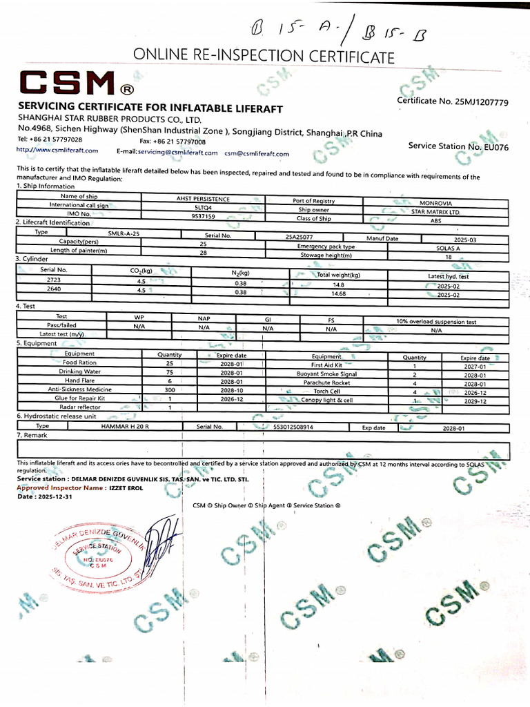 New Life Raft Certificate | PDF