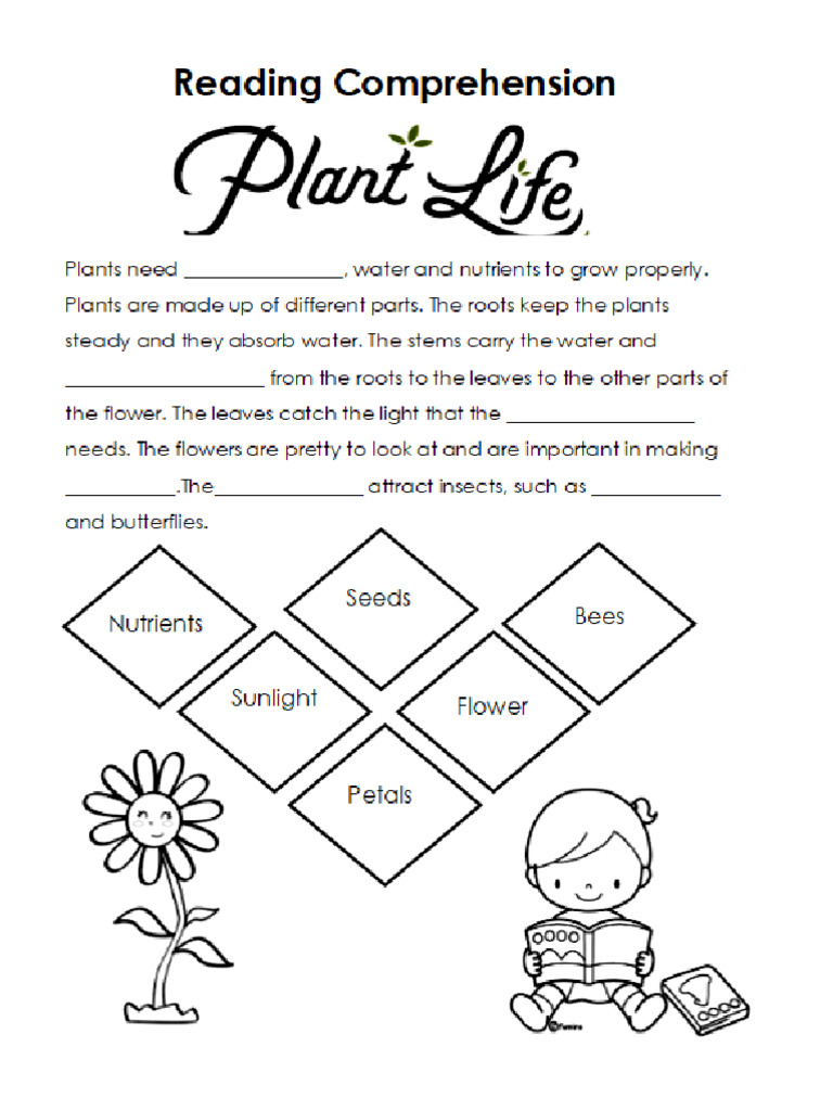 Reading About Plants Reading Comprehension Exercises 131311 | PDF