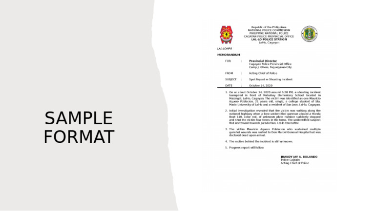 Spot Report Format | PDF