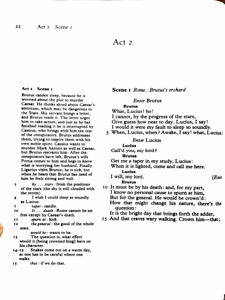 Act 2 Scene 1&2 Julius Caesar | PDF
