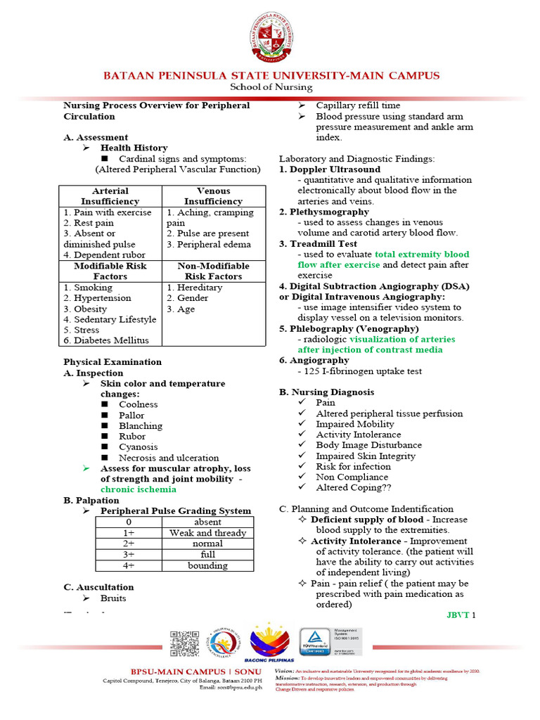 Nursing Process Overview for Peripheral Circulation | PDF | Clinical ...