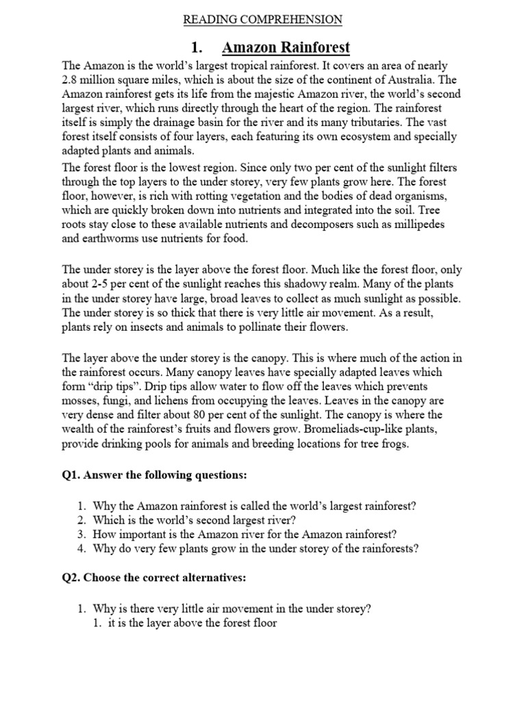 Reading Comprehension Samples | PDF | Rainforest | Cryptocurrency
