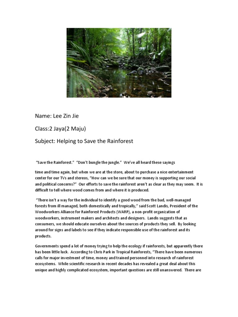Saving The Rainforest | PDF | Deforestation | Rainforest