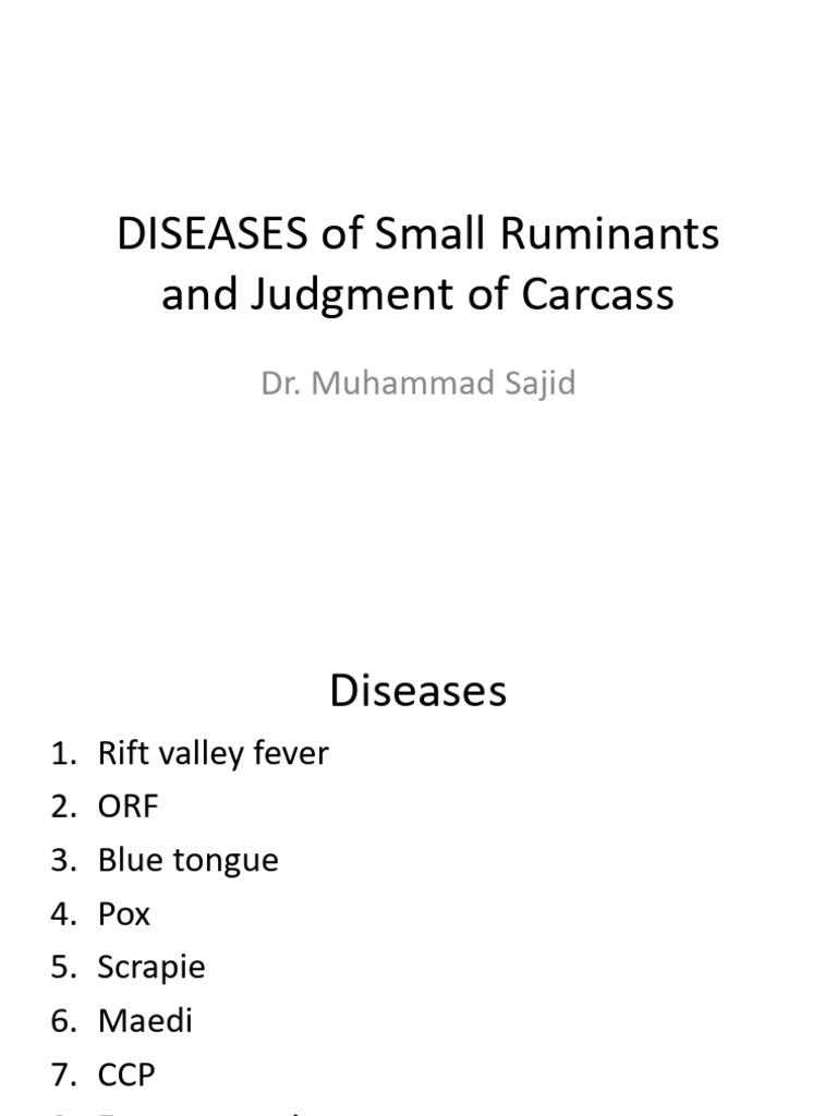 Small Ruminant Diseases & Carcass Judgment | PDF | Sheep | Lung
