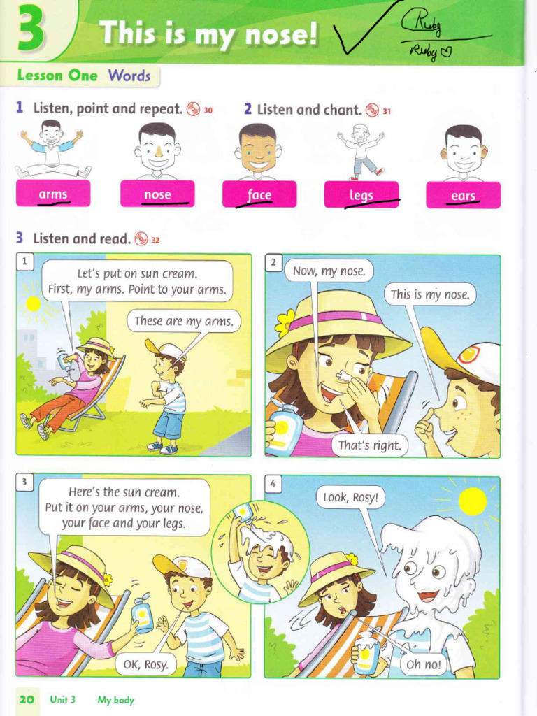 English Language Lesson Plan: My Body | PDF