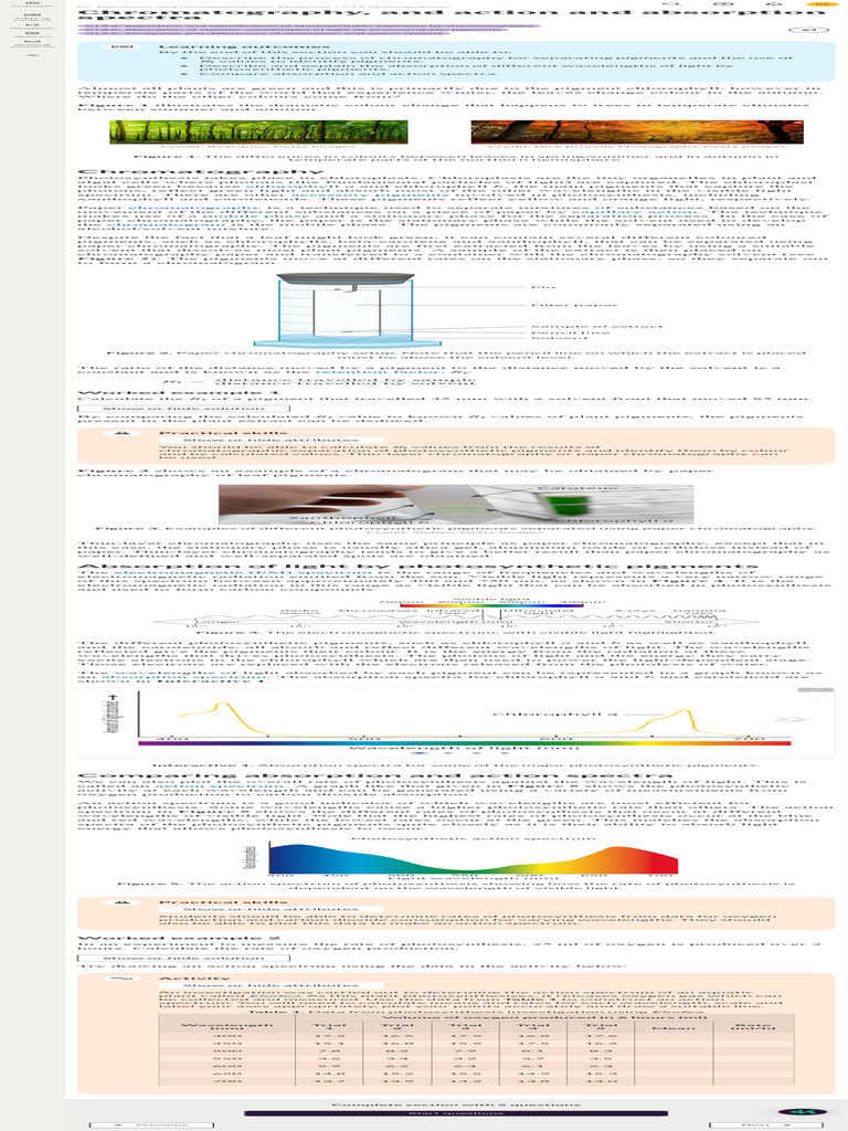 Photosynthesis Pigments and Chromatography | PDF | Photosynthesis ...