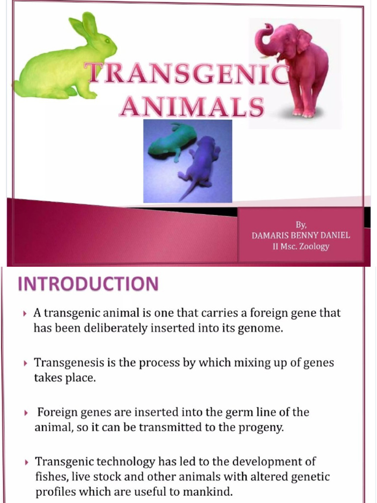 1st Sem Unit 4 - Transgenic Animals, Dolly. | PDF