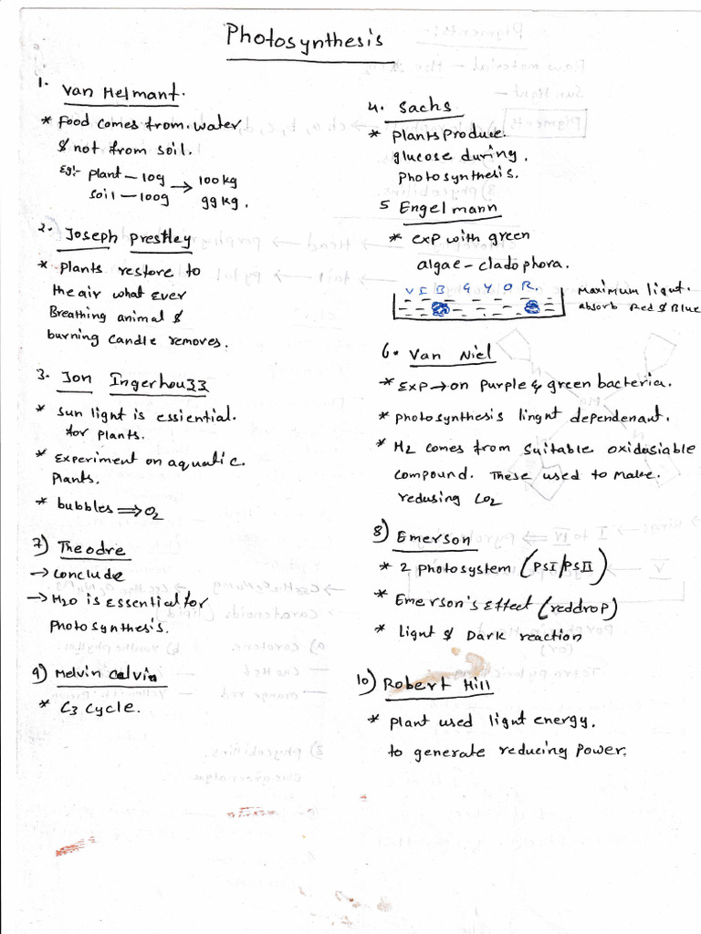 cell cycle_20210519_0001 | PDF