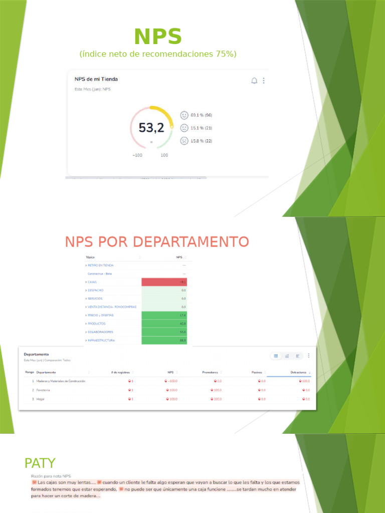NPS Junio | PDF