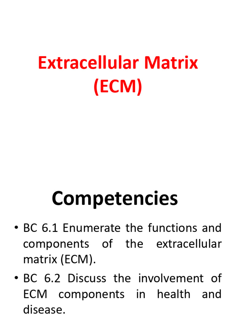 Extracellular Matrix (ECM) | PDF | Extracellular Matrix | Collagen