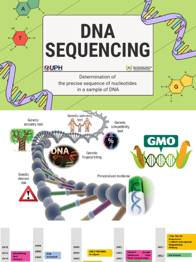 DNA Sequencing 2024 | PDF | Dna Sequencing | Dna