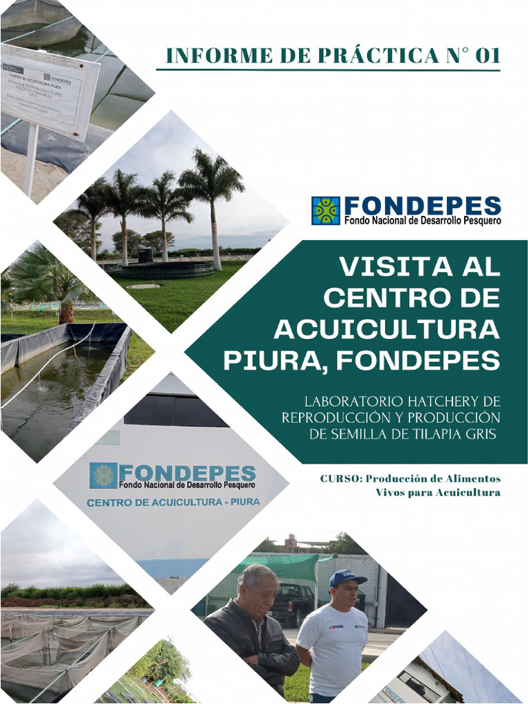 Fondepes Informe Final | PDF | Acuicultura | Agua