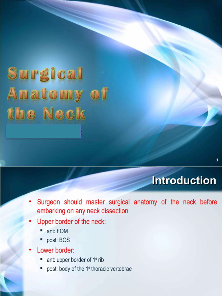 Surgical Anatomy of Neck | PDF