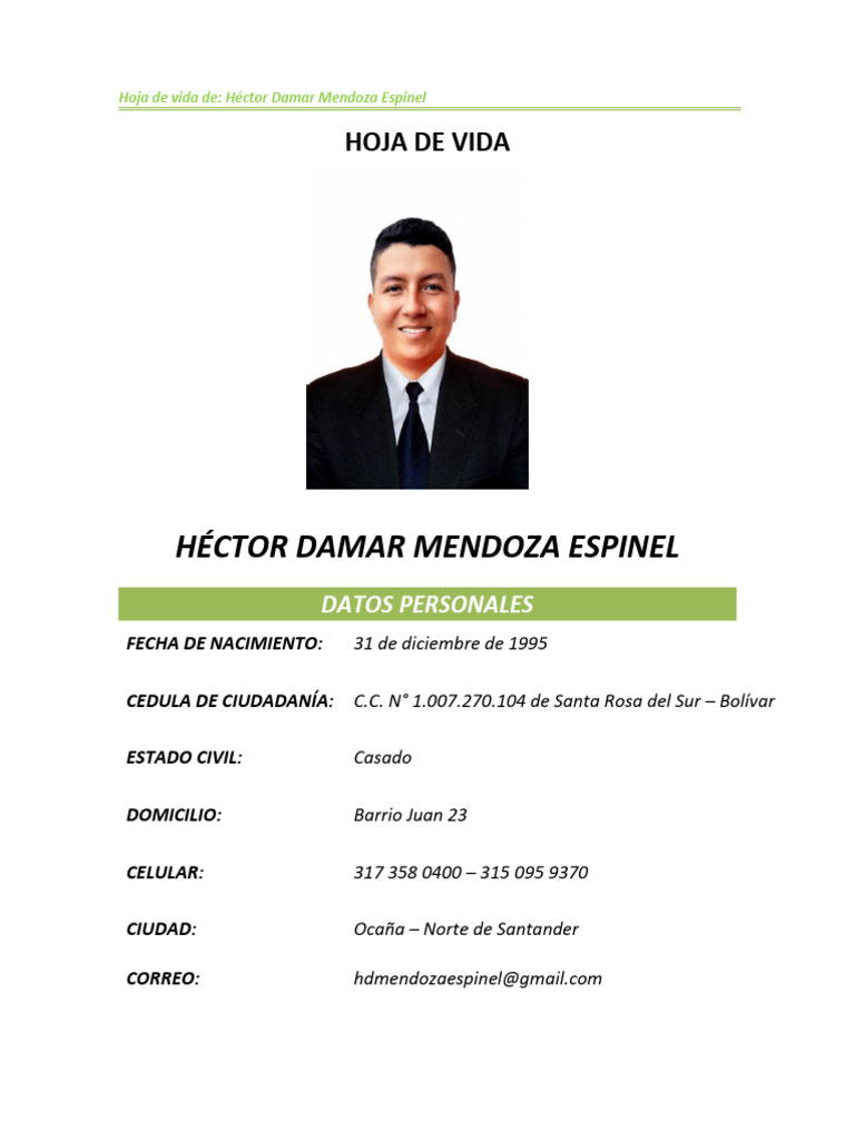 Hoja de Vida Hector Mendoza 2025 | PDF