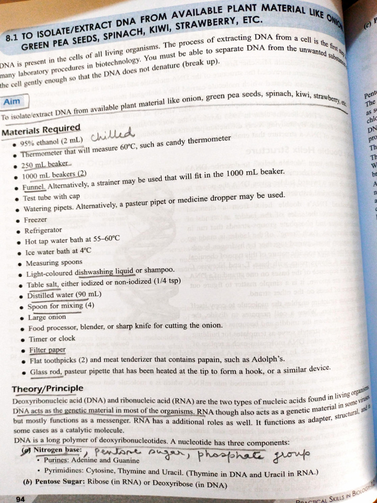 DNA Isolation | PDF