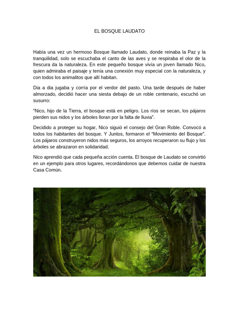 El Bosque Laudato | PDF