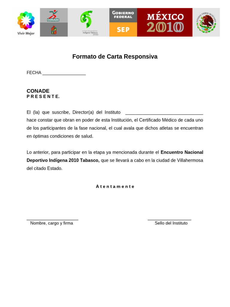 Formato de Carta Responsiva 3-11-2010 | PDF