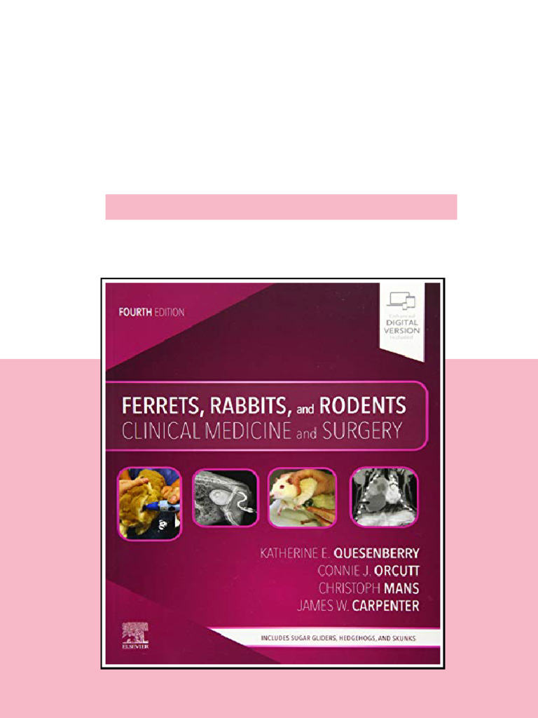 Ferrets, Rabbits, and Rodents 4th Edition Quesenberry Dvm Mph Diplomate ...