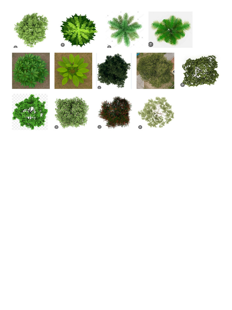Plants | PDF