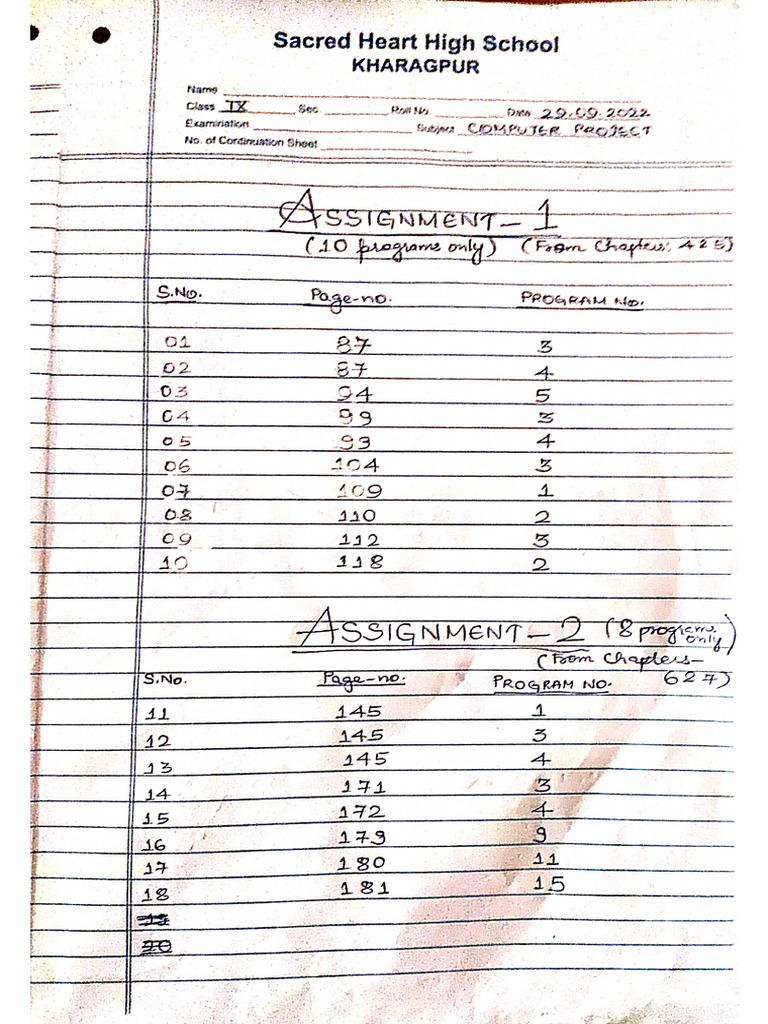 Computer Project For Class IX | PDF